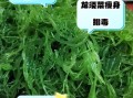 海龙须菜什么人不能吃_海龙须菜不能和什么一起吃