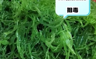 海龙须菜什么人不能吃_海龙须菜不能和什么一起吃