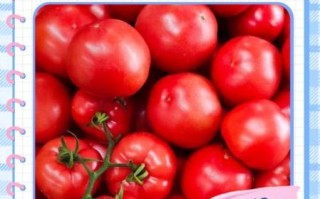 自制番茄酱冷冻保存多久_冷冻后怎么解冻