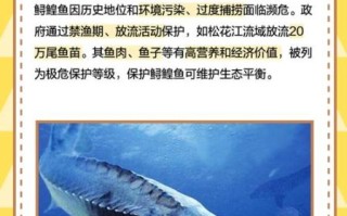 鳇鱼和鲟鱼有什么区别_鳇鱼是鲟鱼吗