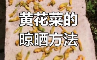 黄花菜直接晒干能吃么_黄花菜晒干后怎么处理