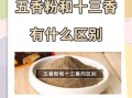 五香粉与十三香有什么区别_哪个更适合炖肉