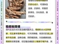 女人吃葛根粉的副作用_葛根粉对月经有影响吗