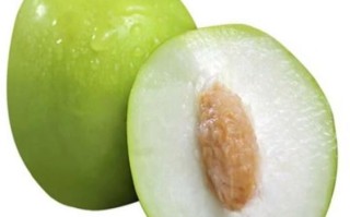 青枣什么时候成熟_青枣成熟月份