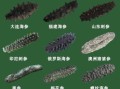海参的种类有哪些_如何区分刺参与光参