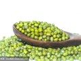 青豆发芽了还可以吃吗_发芽青豆有没有毒