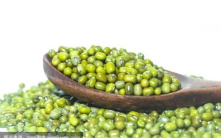 青豆发芽了还可以吃吗_发芽青豆有没有毒
