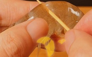 基围虾虾线怎么挑出来_基围虾去虾线最简单的方法