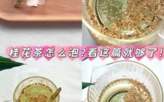 蜂蜜桂花茶怎么做_蜂蜜桂花茶的做法步骤