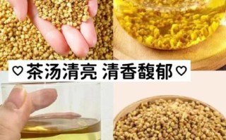 苦荞茶会加重湿气吗_湿气重能喝苦荞茶吗
