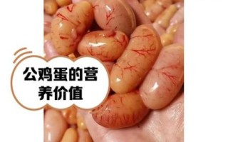 公鸡蛋是什么_公鸡蛋图片真假辨别