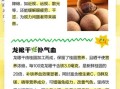 龙眼干的功效与作用_龙眼干一天吃多少合适