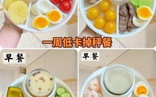 吃什么能快速减肥_减肥吃什么掉秤最快