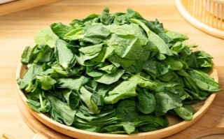 春菜图片大全_春菜有哪些品种