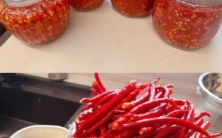 辣椒酱怎么做_辣椒酱视频教程