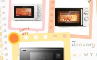 哪个品牌的微波炉好_微波炉怎么选