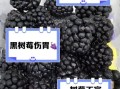 黑树莓的功效与作用_黑树莓怎么吃最好
