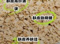 麸皮是什么东西_麸皮的营养价值与作用