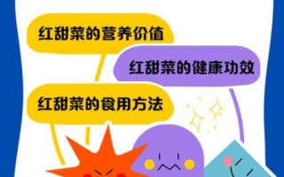 红甜菜是什么菜_红甜菜怎么吃