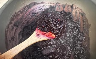 桑椹膏的家常做法_桑椹膏怎么熬制不糊锅