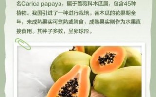 番木瓜和木瓜的区别_哪个更营养