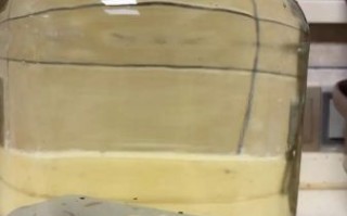 锁阳泡酒的功效与作用_锁阳泡酒怎么泡才正确