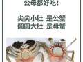 大闸蟹怎么挑选_实拍图怎么看真假