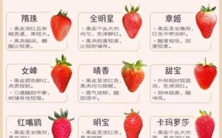 草莓品种排名_哪个品种最甜