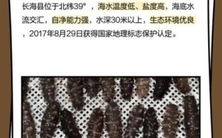 长海县海参批发市场在哪_价格行情