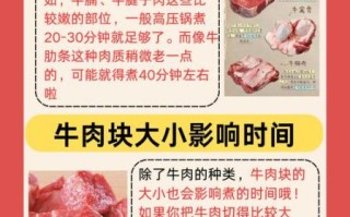 wmf高压锅炖牛肉多久_wmf高压锅蒸米饭时间