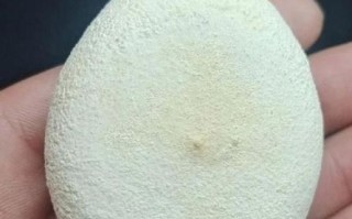 狗宝值钱吗_狗宝价格多少钱一克