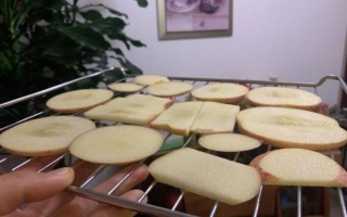 苹果干烤箱做法_苹果干烤箱温度时间