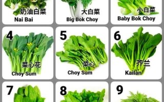 蔬菜有哪些种类_蔬菜怎么分类