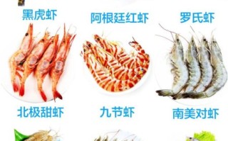 九节虾是海虾还是河虾_九节虾产地与习性全解析