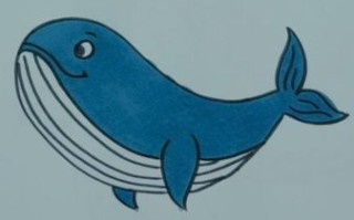 鲸鱼简笔画怎么画_鲸鱼简笔画步骤