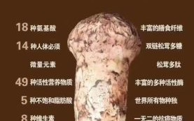 野生松茸的功效与作用_野生松茸怎么吃最好