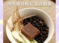 风寒感冒喝什么汤_风寒感冒煲汤食谱大全