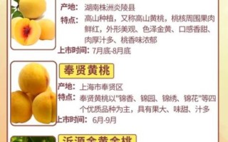 黄桃的营养价值有哪些_黄桃的功效与作用适合什么人吃