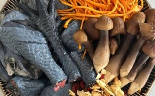 鸡煲什么补气和补血_气血双补食材推荐