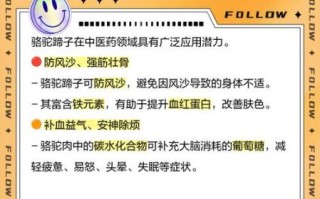 骆驼蹄子是什么_骆驼蹄子为什么分瓣