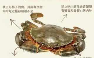 青蟹和梭子蟹的区别_如何挑选最新鲜的螃蟹