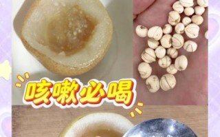 川贝炖雪梨的做法及用量_川贝炖雪梨一次放多少川贝