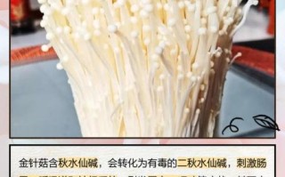 经常吃金针菇的危害_金针菇吃多了会怎样