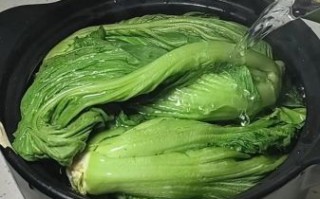 自制咸菜腌制方法大全_怎么腌制咸菜不烂
