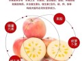 苹果的营养成分有哪些_苹果一天吃几个最好