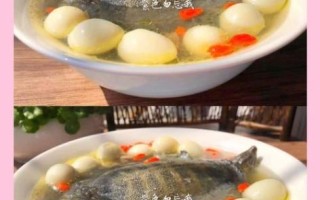 甲鱼怎么做好吃_甲鱼汤做法视频