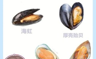 青口贝是海虹吗_区别与选购技巧
