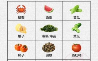 大寒节气吃什么食物_大寒进补吃什么好