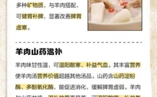 山药羊肉汤的做法_冬天喝有什么好处