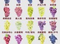 葡萄品种有哪些_哪个品种最甜